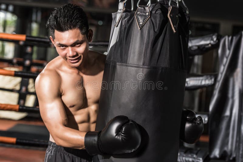 Asian Boxer stock photo. Image of adult, sport, lifestyle - 56871998