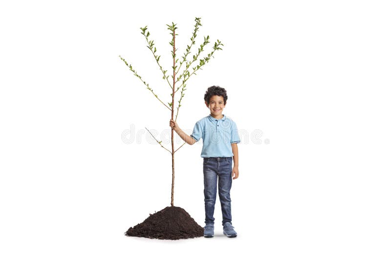 Asian Boy Holding a Young Tree, Plant a Tree and Save the Earth Concept ...