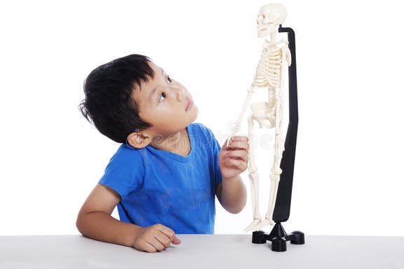 Asian Boy with Human Skeleton Stock Photo - Image of malaysian, bones ...