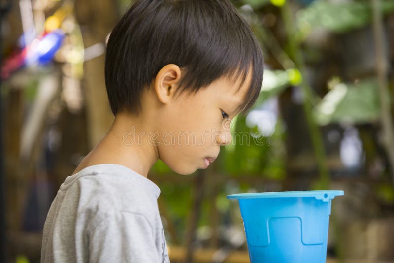 Asian Boy Looking To a Empty Blue Pot Stock Photo - Image of plant ...