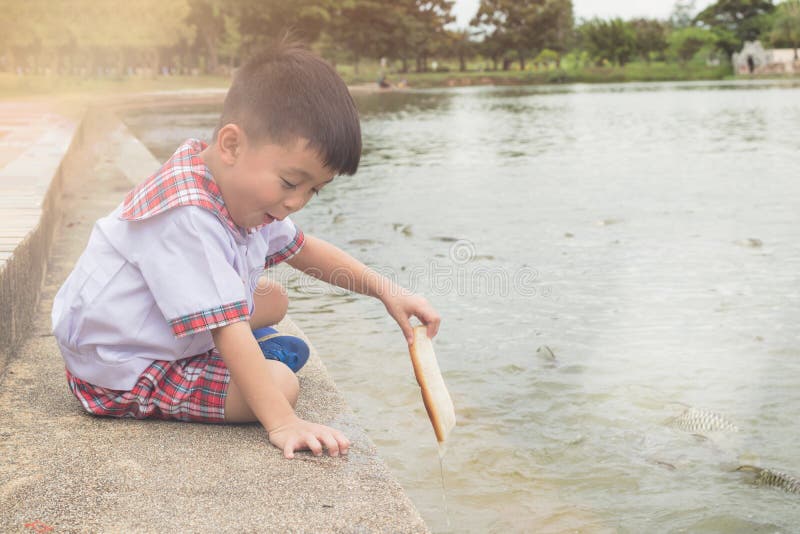Boy Feeding the Fish with Bread Stock Image - Image of feed, carp ...
