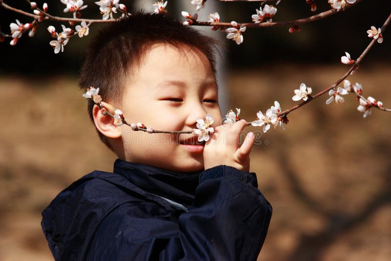 Asian Boy is Smelling Flowers Stock Image - Image of peach, asian: 18959473