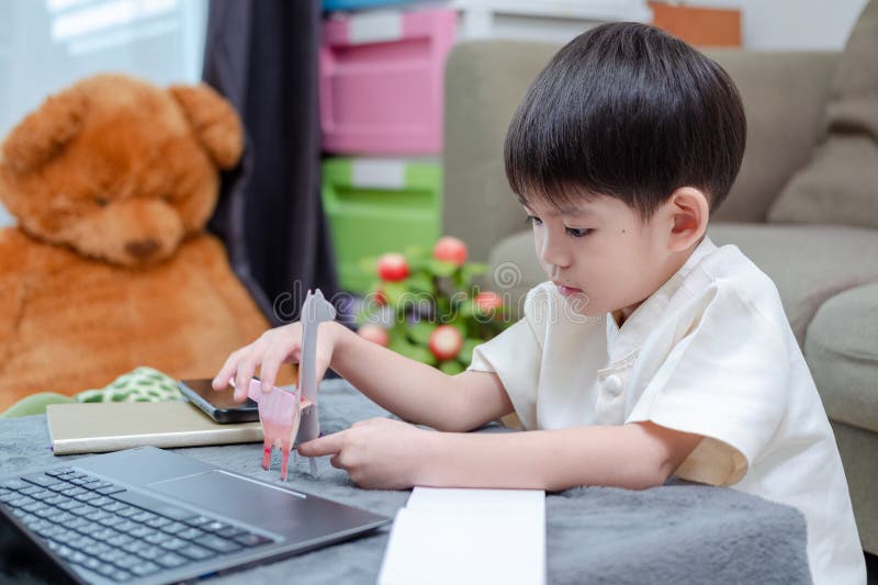 Asian Boy Studying Online on Laptop and Learning from Paper Animals ...