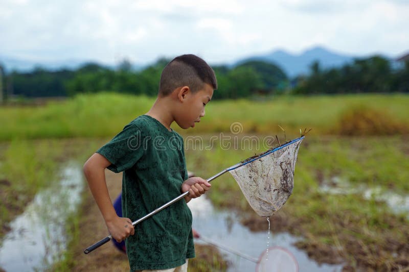 Asian Boy Work To Observe and Collect Information about the Creatures ...