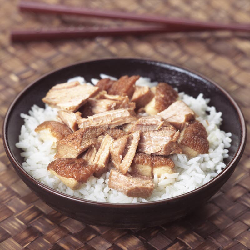 Asian braised pork rice stock photo. Image of unhealthy - 14602406