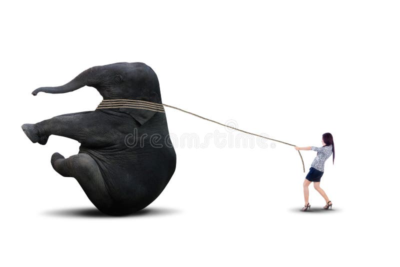 Elephant People Pulling Rope Stock Photos - Free & Royalty-Free Stock ...