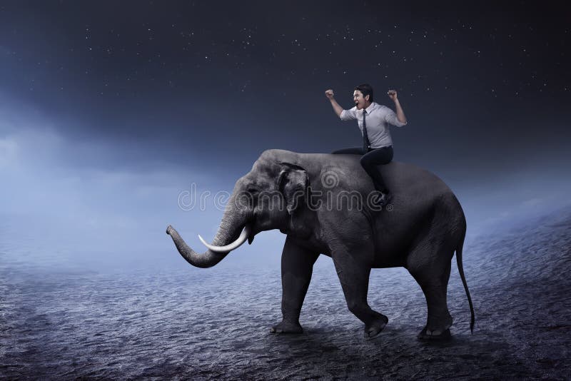 Asian Business Man Riding Elephant Stock Image - Image of desert, lead ...