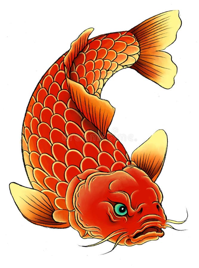 Asian carp one stock illustration. Illustration of traditional - 51485693