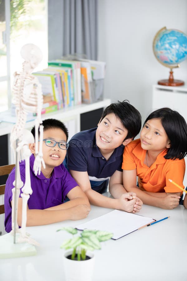 Asian Child Learning a Human Body Structure in Class. Stock Image ...