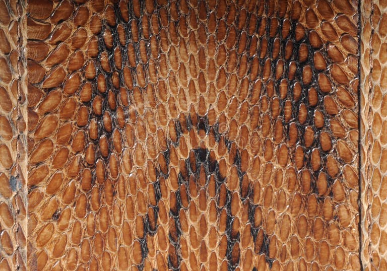 Asian Cobra Leather Texture Stock Photos - Free & Royalty-Free Stock ...