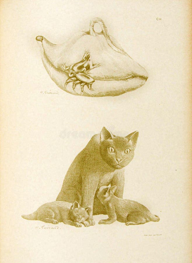 Asian culture. Old image stock illustration. Illustration of samurai ...