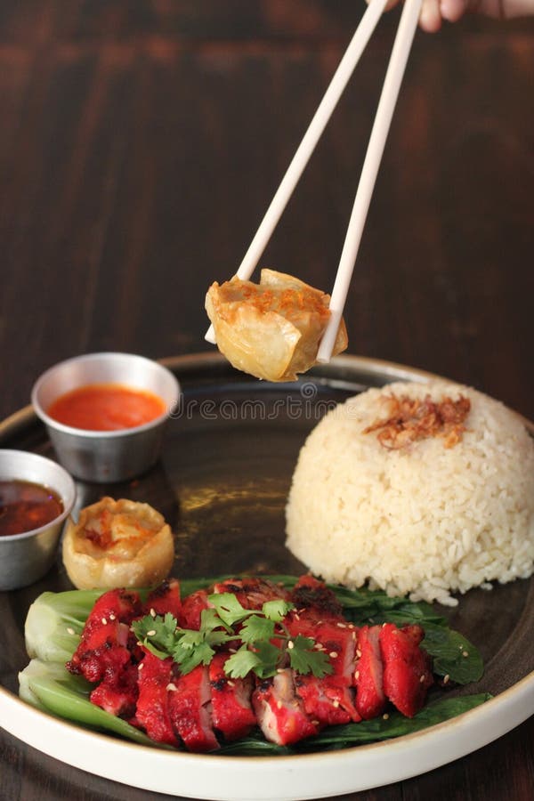 Asian Dumpling Platter with Rice and Sauces Stock Image - Image of used ...