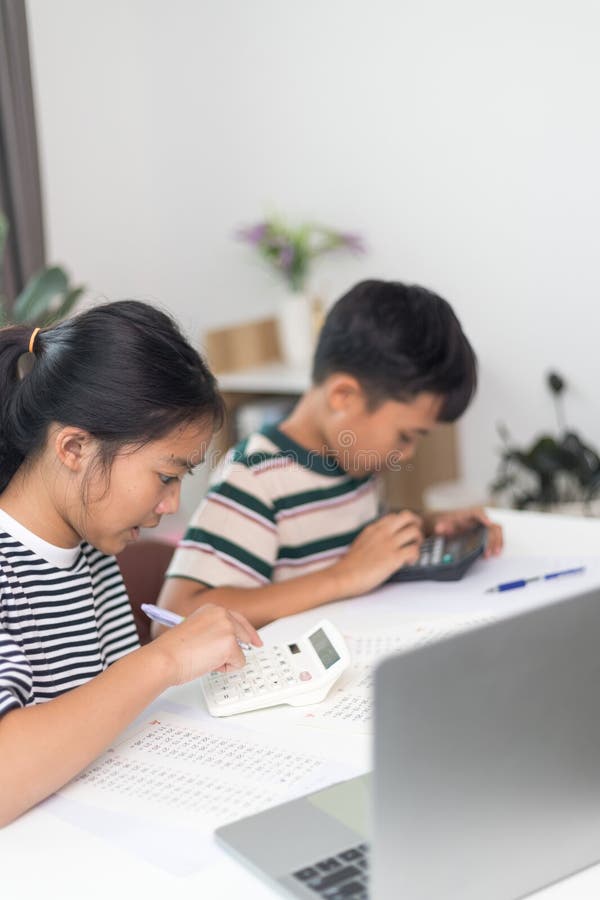 Asian Elementary School Children Studying Mathematics Stock Photo ...