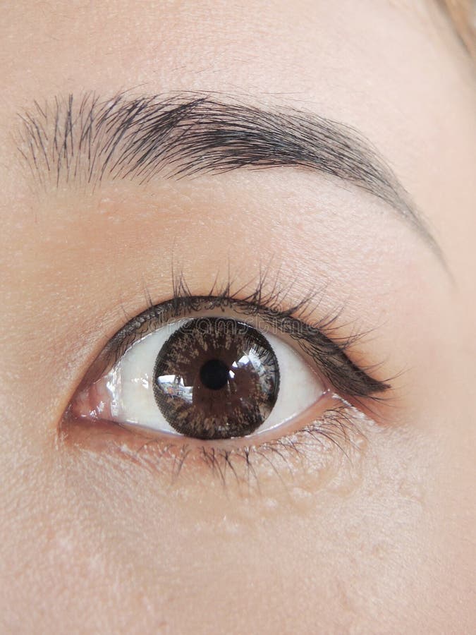 Asian eye stock photo. Image of face, asian, hazel, contact - 31080418