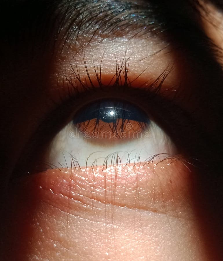 Asian eyeball stock photo. Image of looks, organ, brown - 271734150