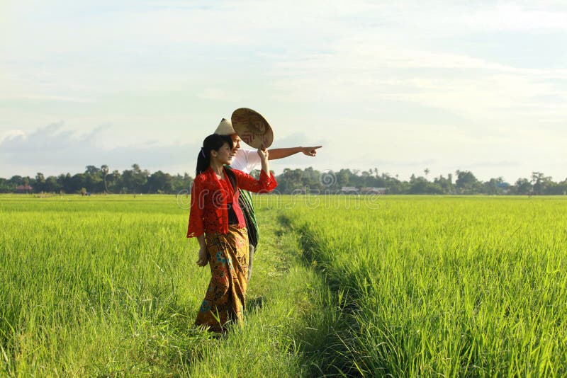 Asian farmer stock image. Image of happy, farm, traditional - 13464629