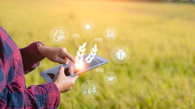 Asian Farmers are Using Digital Tablets in Cultivated Fields with Smart ...