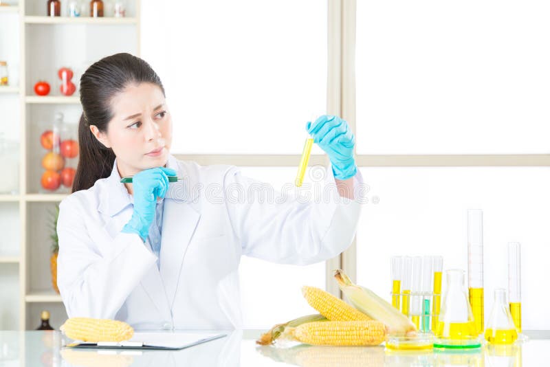 Asian Female Scientist Holding an Corn and Recording the Data Stock ...