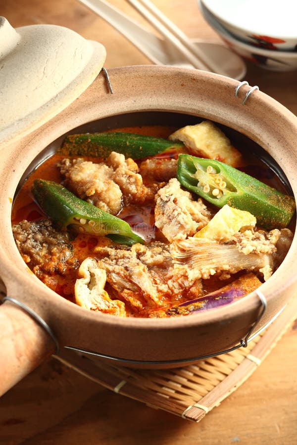 Asian fish curry stock image. Image of cuisine, herb - 23908337