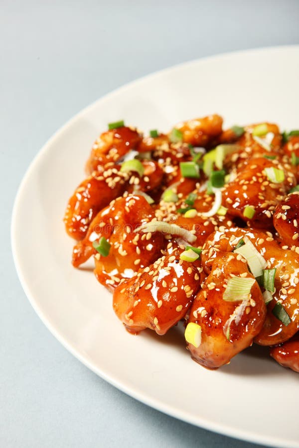 Asian food stock image. Image of meal, plate, meat, colour - 18350659