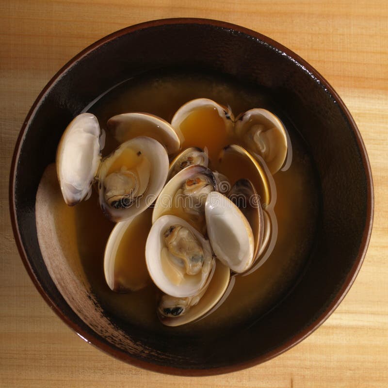 Asian fresh clams broth stock photo. Image of seafood - 12059574