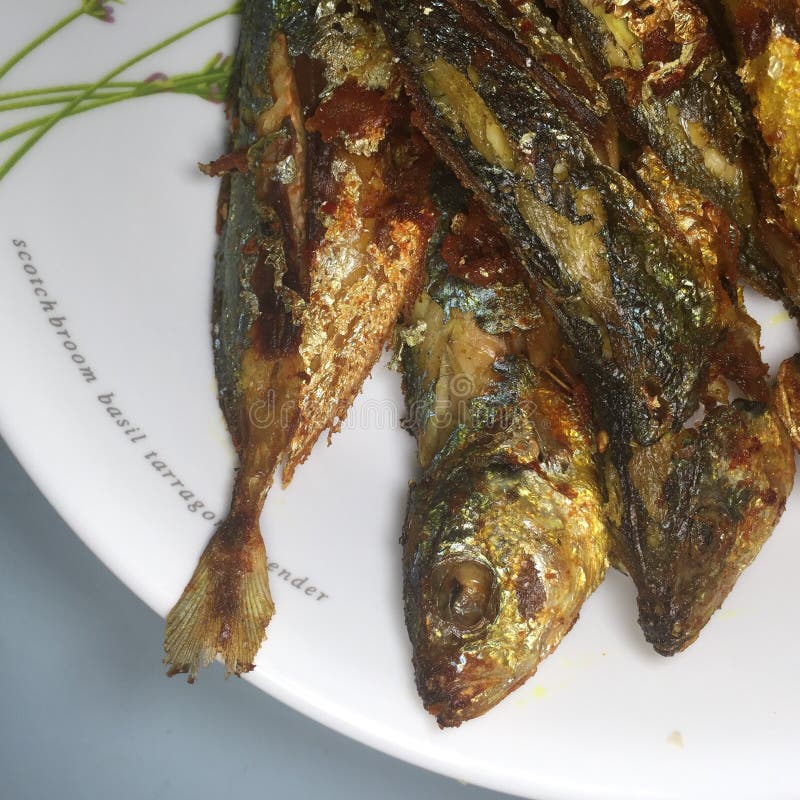Asian Fried Fish stock image. Image of asian, fish, malaysian - 76771237