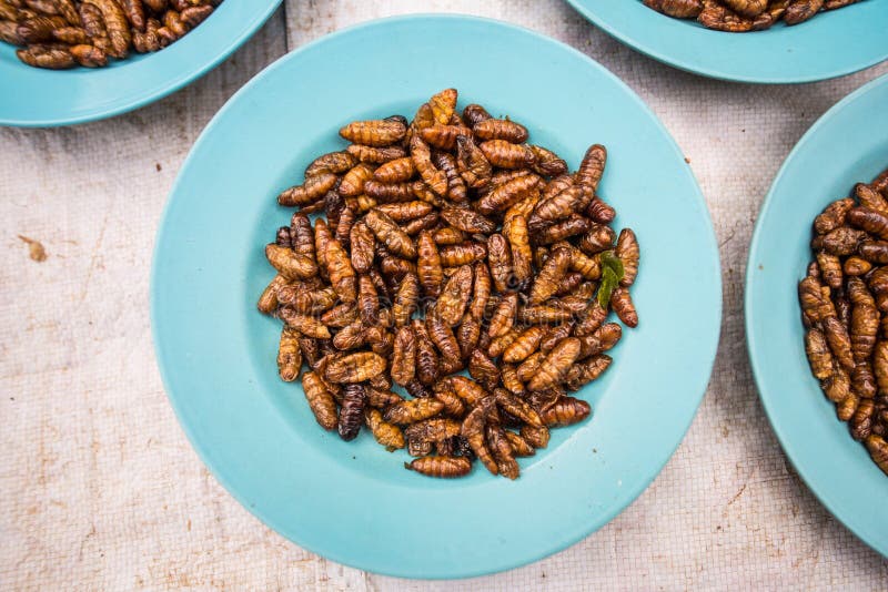 Asian fried insect stock image. Image of tropical, laos - 72575643
