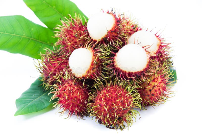 Asian Fruit Rambutan or Negrito Stock Photo - Image of asia, plant ...