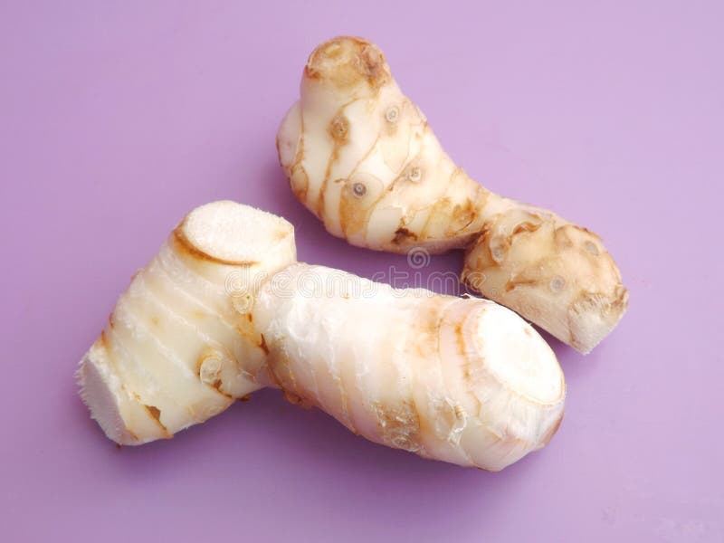 Asian galanga roots stock photo. Image of galanga, restaurant - 43344892