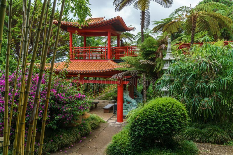 Asian garden stock photo. Image of japanese, tropical - 59189460