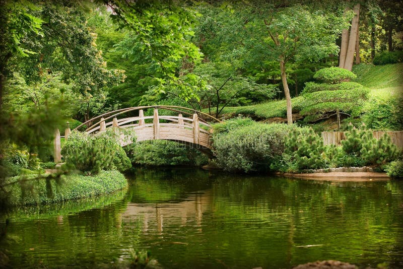 Asian gardens stock photo. Image of botanicals, serene - 6565264