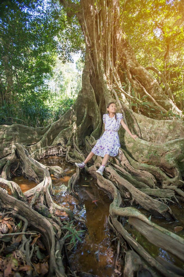 Asian Girl on the Base of Trees Stock Image - Image of tree, hand: 80489189