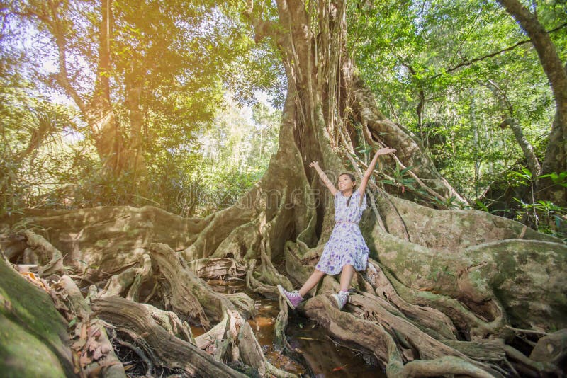 Girl crying over dead tree stock photo. Image of bonsai - 68060582