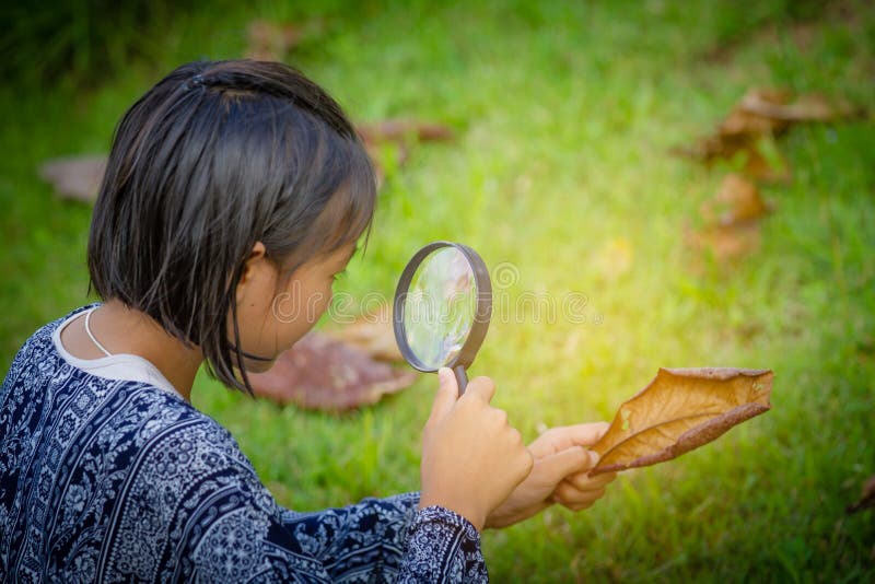 Asian girl explore tree stock image. Image of attractive - 97492497
