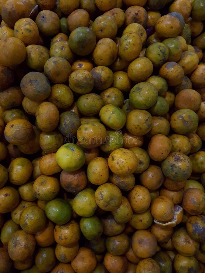 Asian Group Orange Fruits from Asian Stock Image - Image of grouph ...