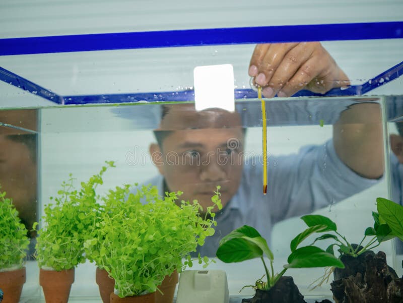 1,033 Water Temperature Check Stock Photos - Free & Royalty-Free Stock ...