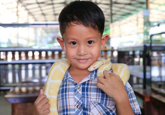 Asian Little Boy with Pet Snake or Royal Albino Python. Boa Constrictor ...