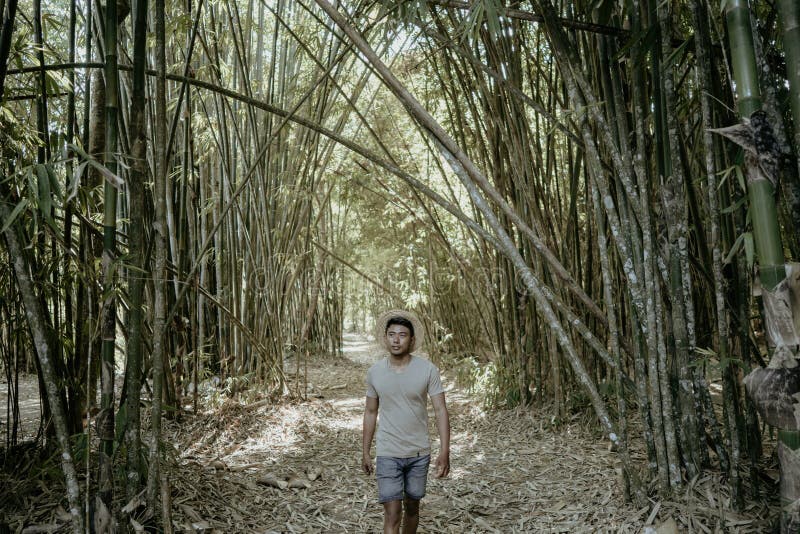 Asian Male in Bamboo Forest Stock Photo - Image of bamboo, jungle ...