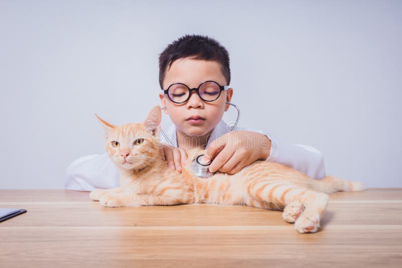 Asian Male Doctor Examining a Cat Stock Image - Image of examining ...