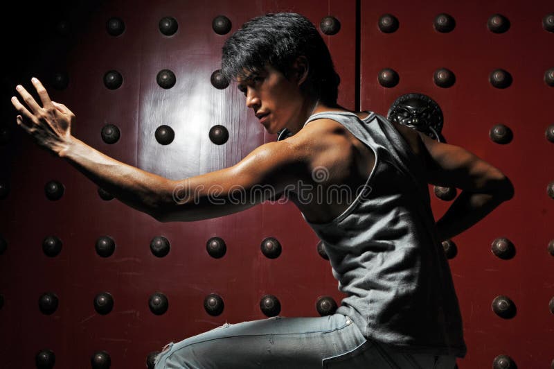 Asian Man in Fighting Action Stock Image - Image of karate, japanese ...