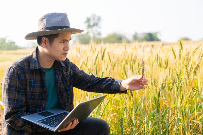 Asian Man Smart Farmer Using Modern Digital Technology by Laptop ...