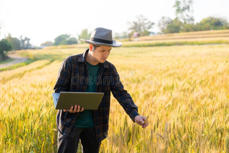 Asian Man Smart Farmer Using Modern Digital Technology by Laptop ...