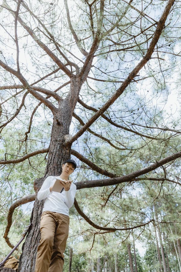 Asian Man Standing and Writing or Reading Note Under Pine Tree Stock ...