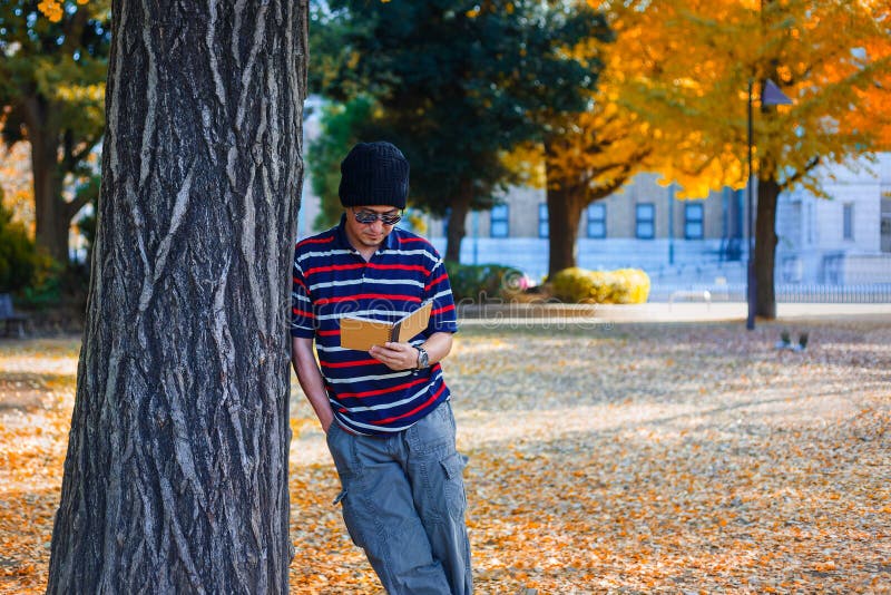 Asian Man Stands Under a Ginkgo Tree in Autumn Stock Image - Image of ...