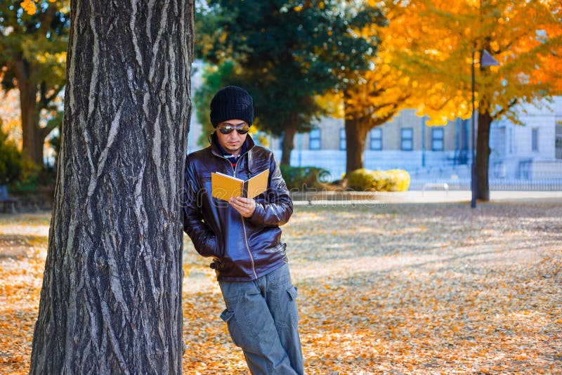 Asian Man Stands Under a Yellow Ginkgo Tree in Autumn Stock Image ...