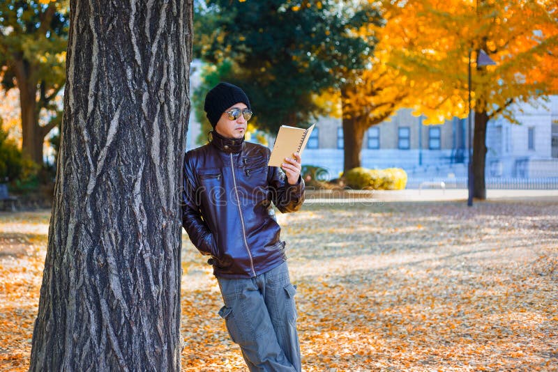Asian Man Stands Under a Yellow Ginkgo Tree in Autumn Stock Photo ...