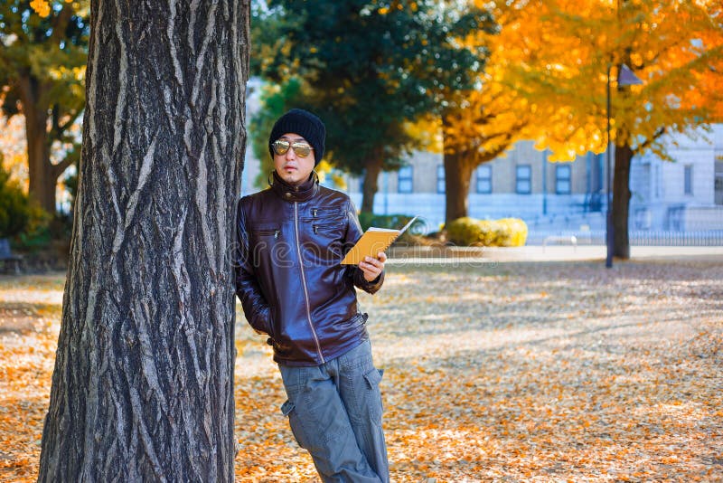 Asian Man Stands Under a Yellow Ginkgo Tree in Autumn Stock Photo ...