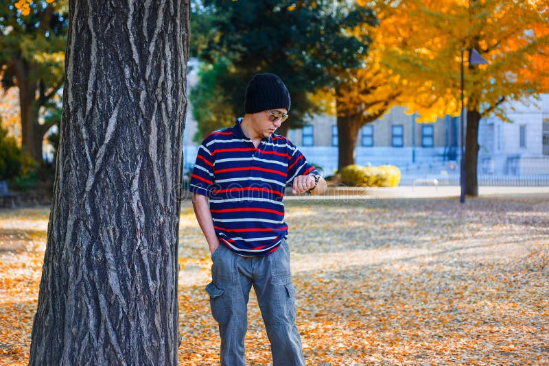 Asian Man Stands Under a Yellow Ginkgo Tree in Autumn Stock Photo ...