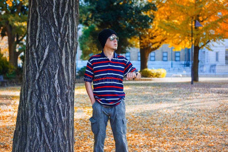 Asian Man Stands Under a Yellow Ginkgo Tree in Autumn Stock Image ...