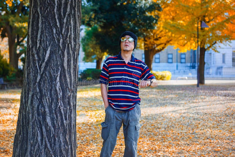 Asian Man Stands Under a Yellow Ginkgo Tree in Autumn Stock Photo ...